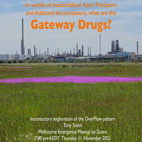 OverFlow Chart Introduction and Application to Gateway Drugs | PPT