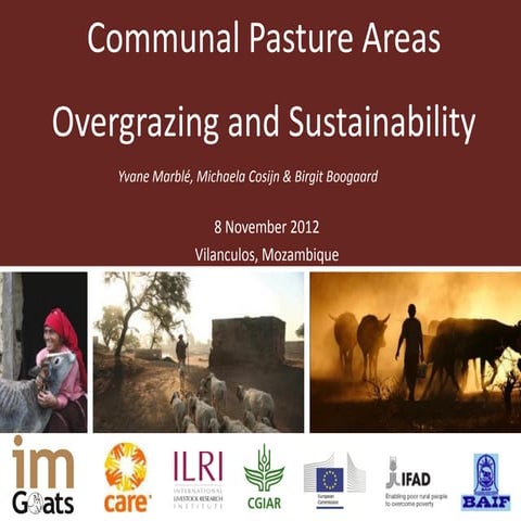 Communal pasture areas: Overgrazing and sustainability | PDF