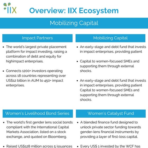Behind IIX’s Impact - IIX Global.pdf