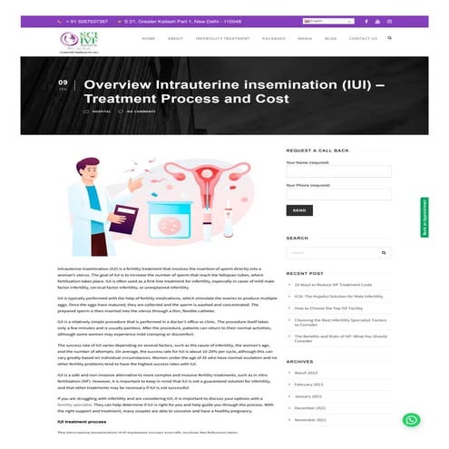 Overview Intrauterine Insemination Iui Treatment Process And Cost Pdf