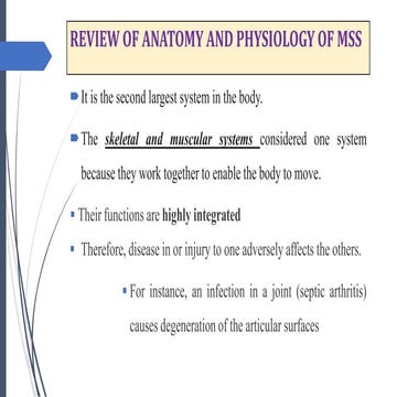 Musculoskeletal System | PPTX