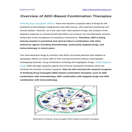 Overview of ADC-Based Combination Therapies.pdf