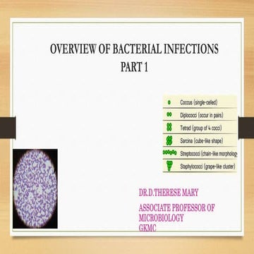 Overview of bacterial infections | PPTX