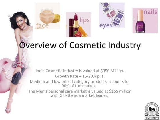 A Comprehensive Analysis Of Top Indian Cosmetic Company LAKME | PDF