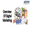 Overview of Digital Marketing.pptx