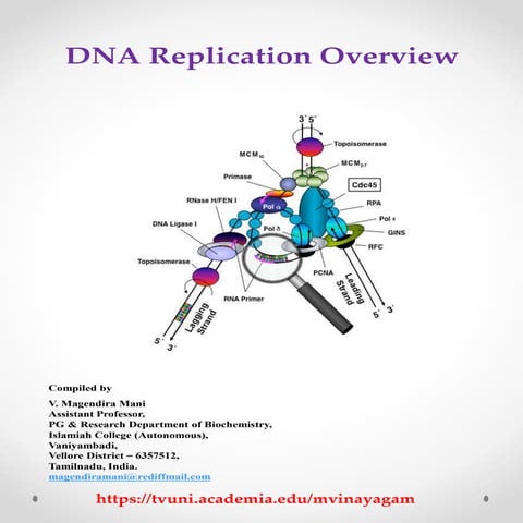 Overview of dna replication (prokaryotic & eukaryotic) | PPTX ...
