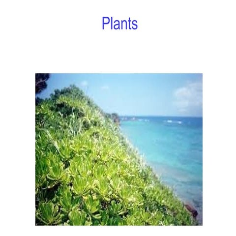 plants | PPT