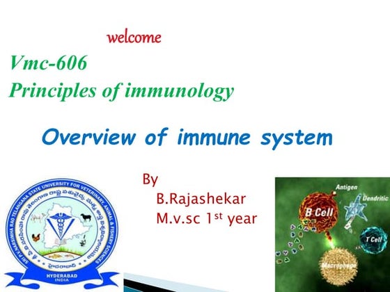 The Immune System | PPTX