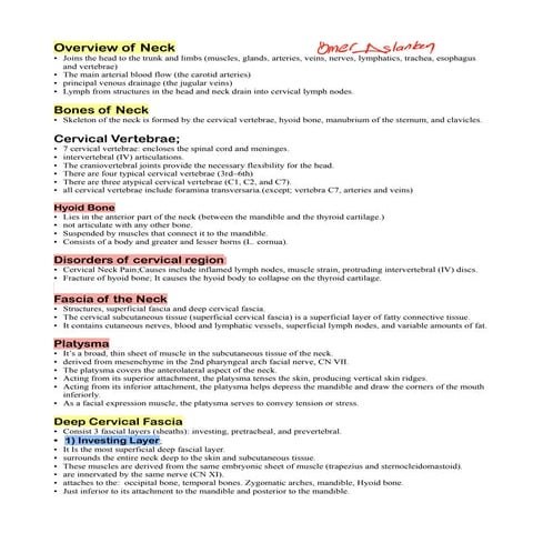 Overview of Neck.pdf