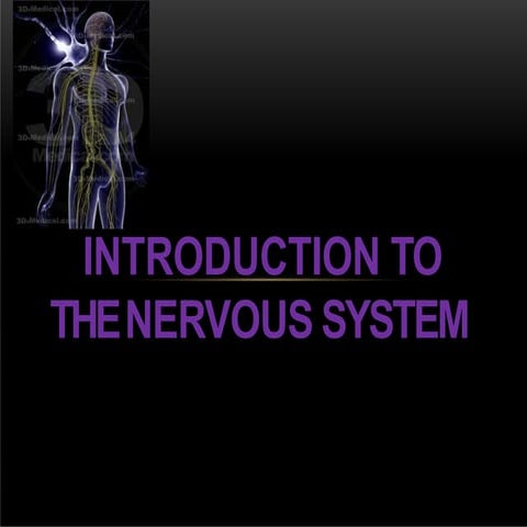 overview of nervous system.pptx