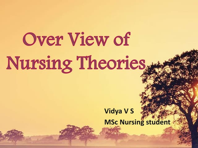 Ida Jean Orlando’s Nursing Process Theory | PPTX