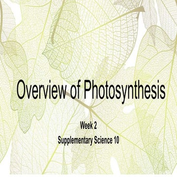 Overview of Photosynthesis ssci 10 Week 2.pptx