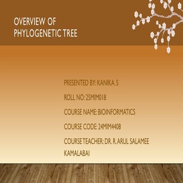 MEGA (Molecular Evolutionary Genetics Analysis) | PDF