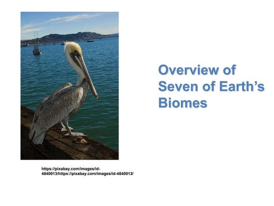 Earth and environmental science part 2 of 4 | PPT