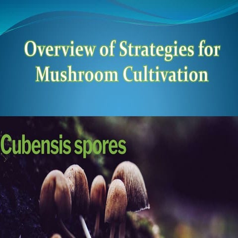 Mushroom Spores vs. Liquid Culture: What’s the Difference? | DOCX