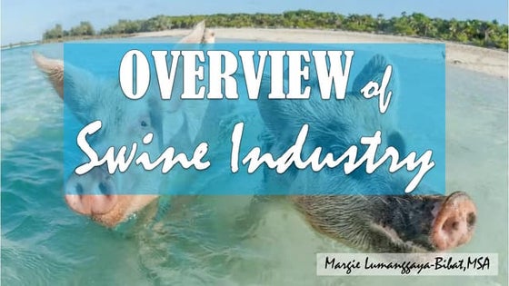 Swine production | PPT