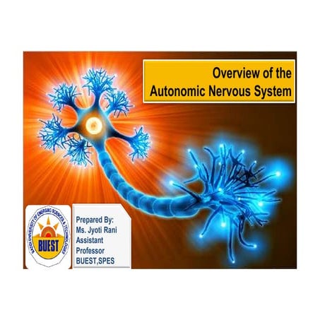 Autonomic nervous system | PPTX
