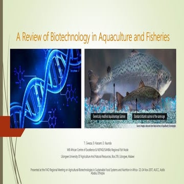 Overview of the biotechnology in fishery | PPTX