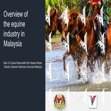Overview of the equine industry in Malaysia | PDF