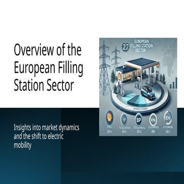 Overview of the European Filling Station Sector.pptx
