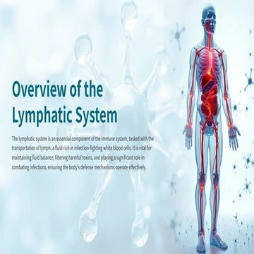Overview of the Lymphatic System and their function .pdf