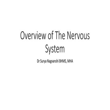 An Overview of the Human Nervous System.pptx