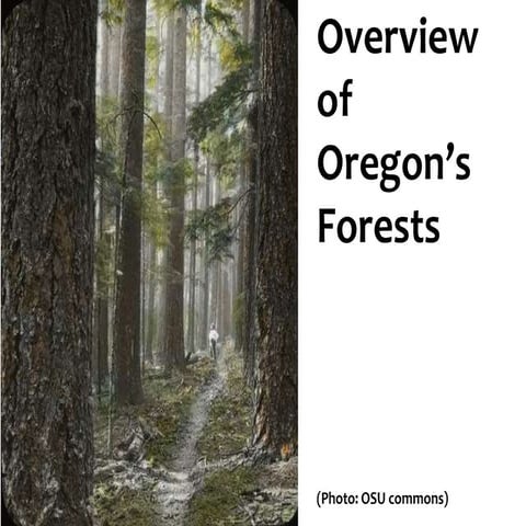 Overview Oregon's forests | PPTX