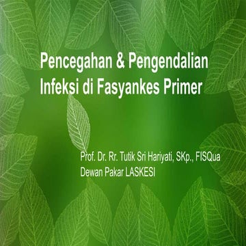 Overview PPI di FKTP -laskesi.pdf