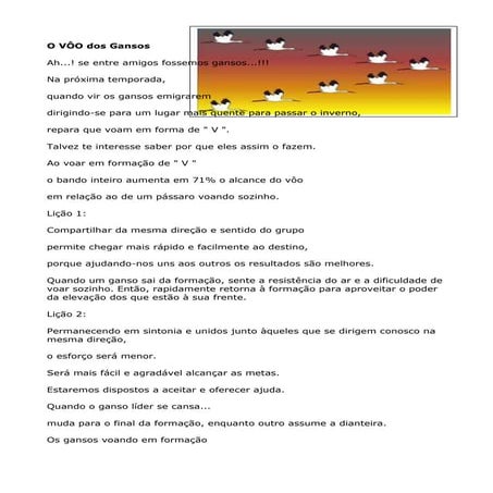 O vôo dos gansos | DOCX