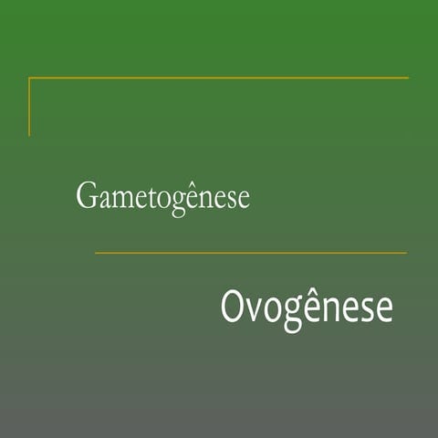 Ovogênese | PPT