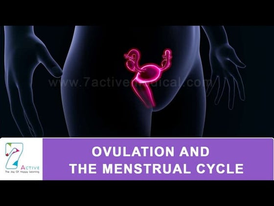 Ovulation | PPT