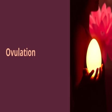 Ovulation Pptx Ppt