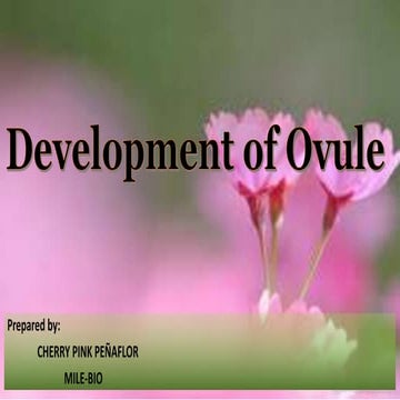 Development of Ovule inside the ovary. Topic from Plant and Animal ...