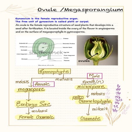Ovule structure of Plants & Types of Ovules | PDF