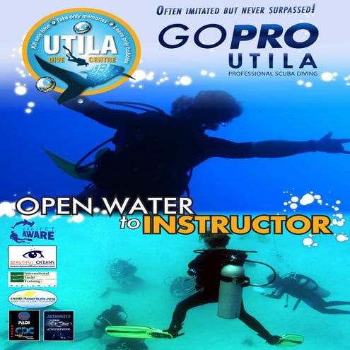 PADI Open Water to Scuba Instructor course information | PDF