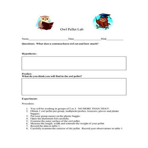 Owl Pellet Lab | DOC