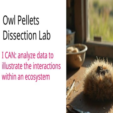 Owl Pellet Dissection Investigation Slides | PPTX