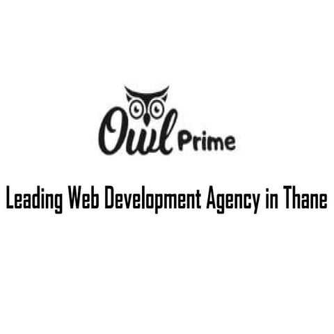 Owlprime_Web_Development_Presentation.pptx
