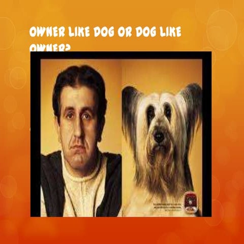 Owner like dog or dog like owner | PPTX