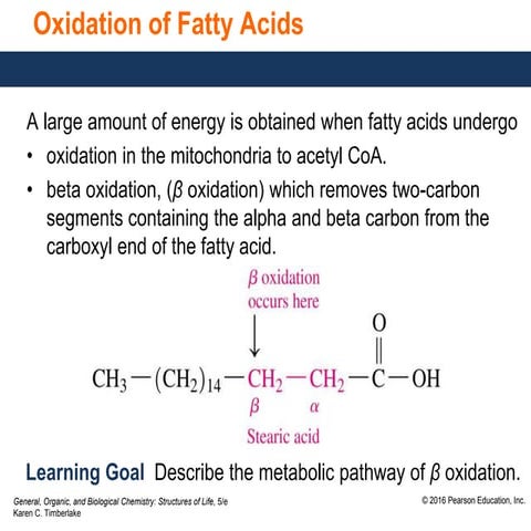 Oxidation of Fatty Acids..pptx