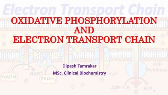 Electron Transport Chain ETC | PPT