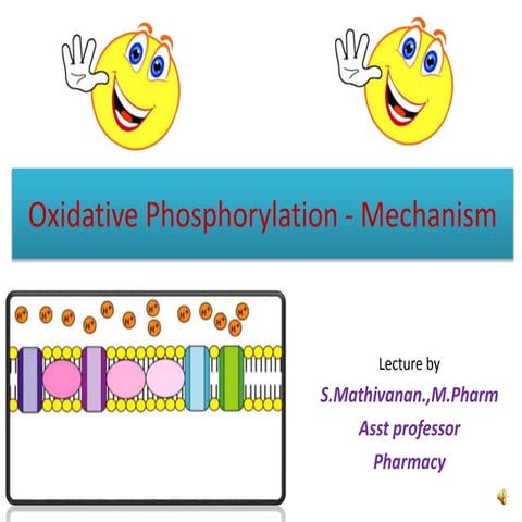 Oxidative phosphorylation and its mechanism | PPTX