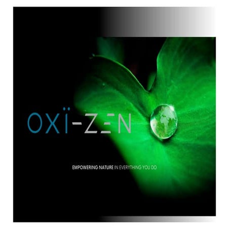 Oxizen Presentation.pdf | Environmental Services Industry | Industries