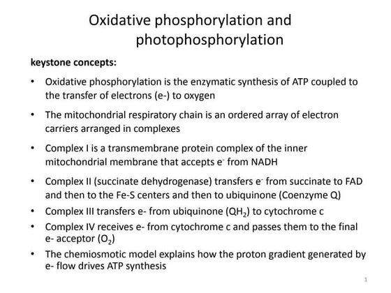 Electron Transport Chain ETC | PPTX | Chemistry | Science