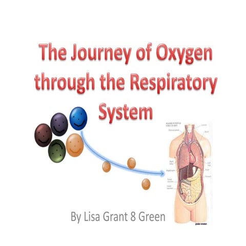 Oxygen through the respiratory system | PPTX