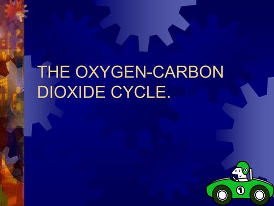 Carbon-Oxygen Cycle | PPT | Chemistry | Science