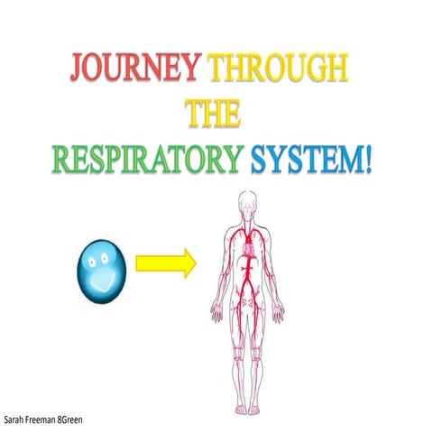 Oxygen through the Respiratory System | PPTX