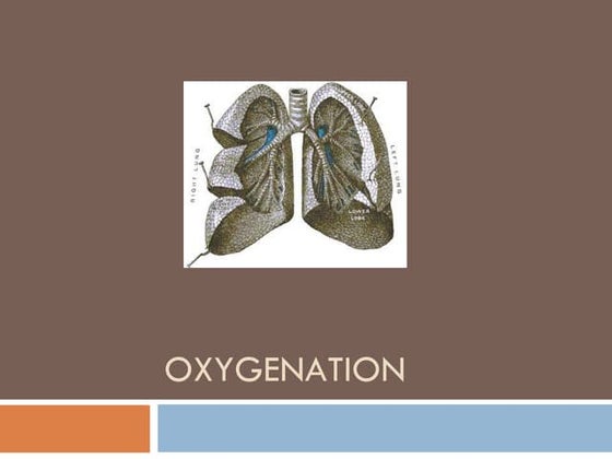 Lesson 5 Mechanisms Of Ventilation | PPT