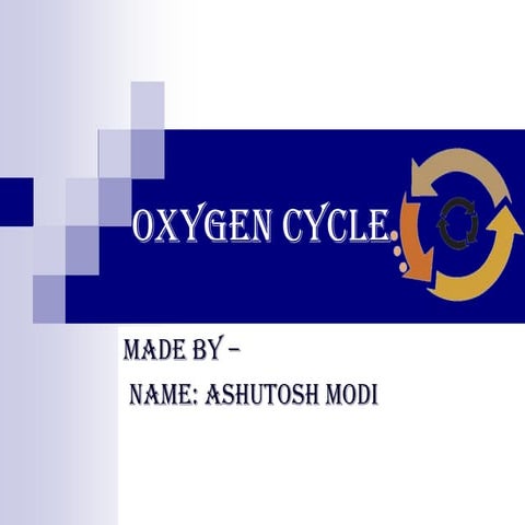 Oxygen cycle | PPT
