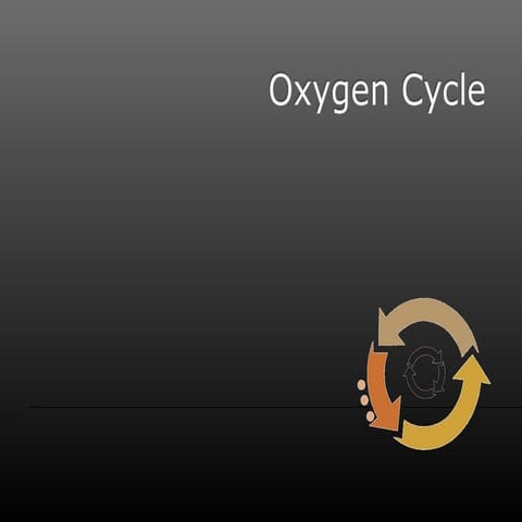 Oxygen cycle (modified). | PPT